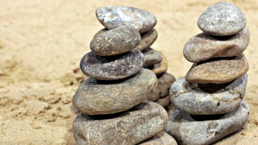 Reverse a Stack Using Recursion