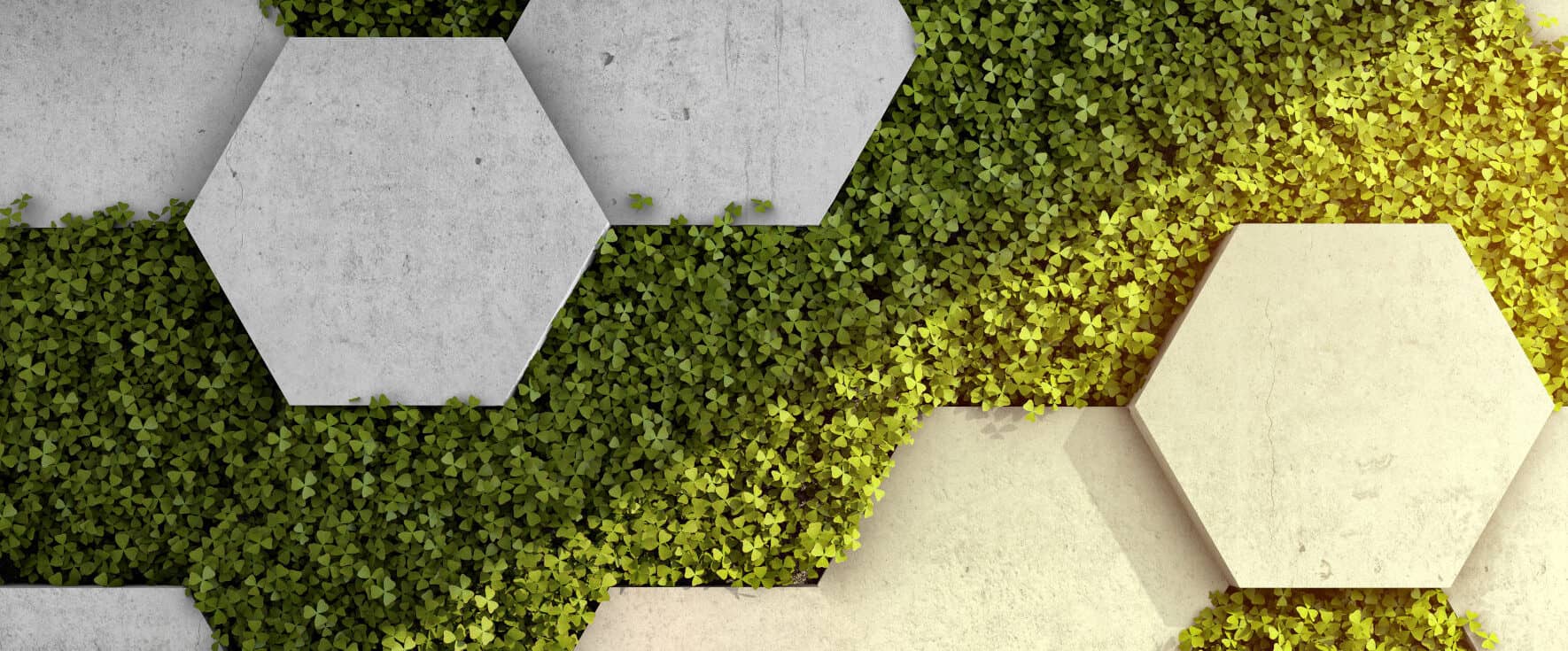 Hexagonal Architecture With Spring Boot Tutorial 1631