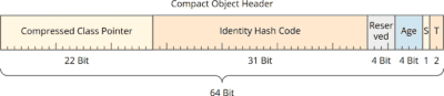 Java Compact Object Headers (JEP 519)
